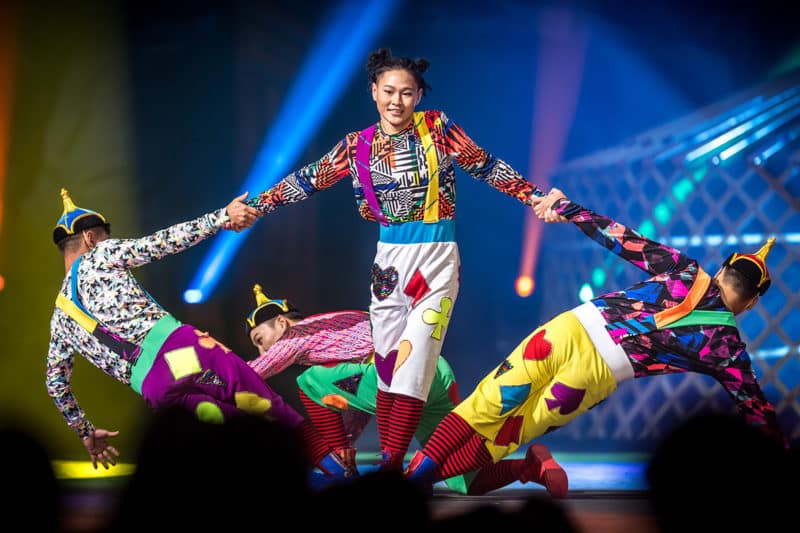 Découvrez le Cirque Phénix, Spectacles d'exception